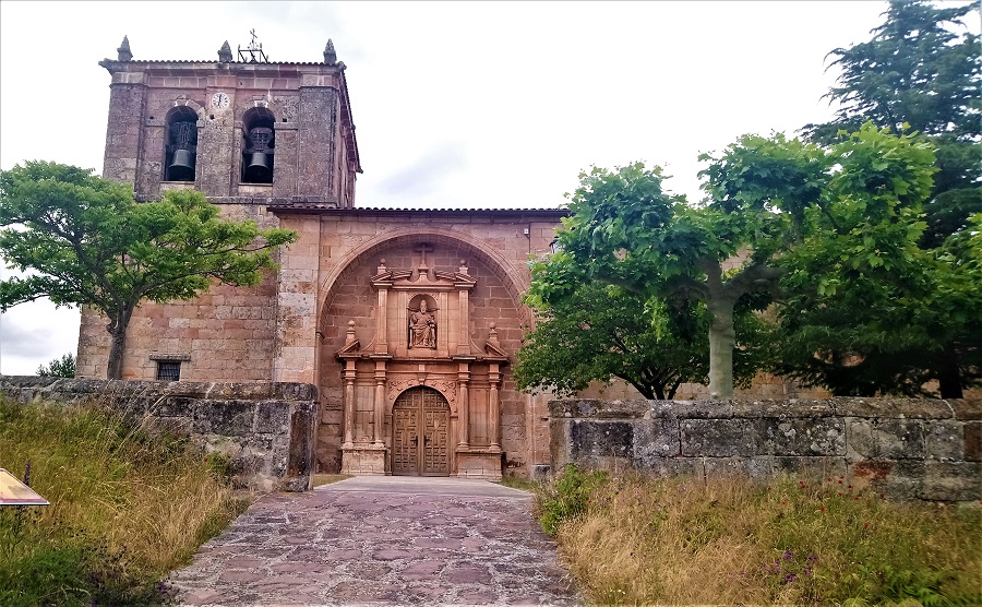 Un paseo por Hacinas: el pueblo de los árboles fósiles